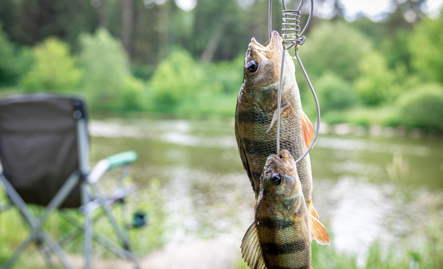 300 Clever And Funny Fishing Names For Teams All Teams Name 300 Clever And Funny Fishing Names For Teams All Teams Name