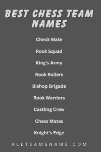 329 Clever Chess Team Names That Will Make You Stand Out - All Teams Name
